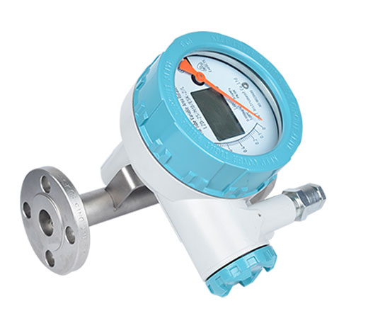 Vertical Display Variable Area Flowmeter